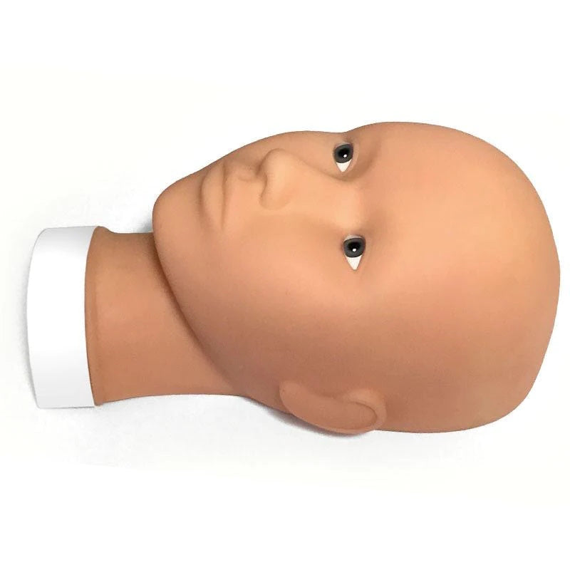 Hairart Flat Back Table-Top Mannequin Head – Simply Manikins